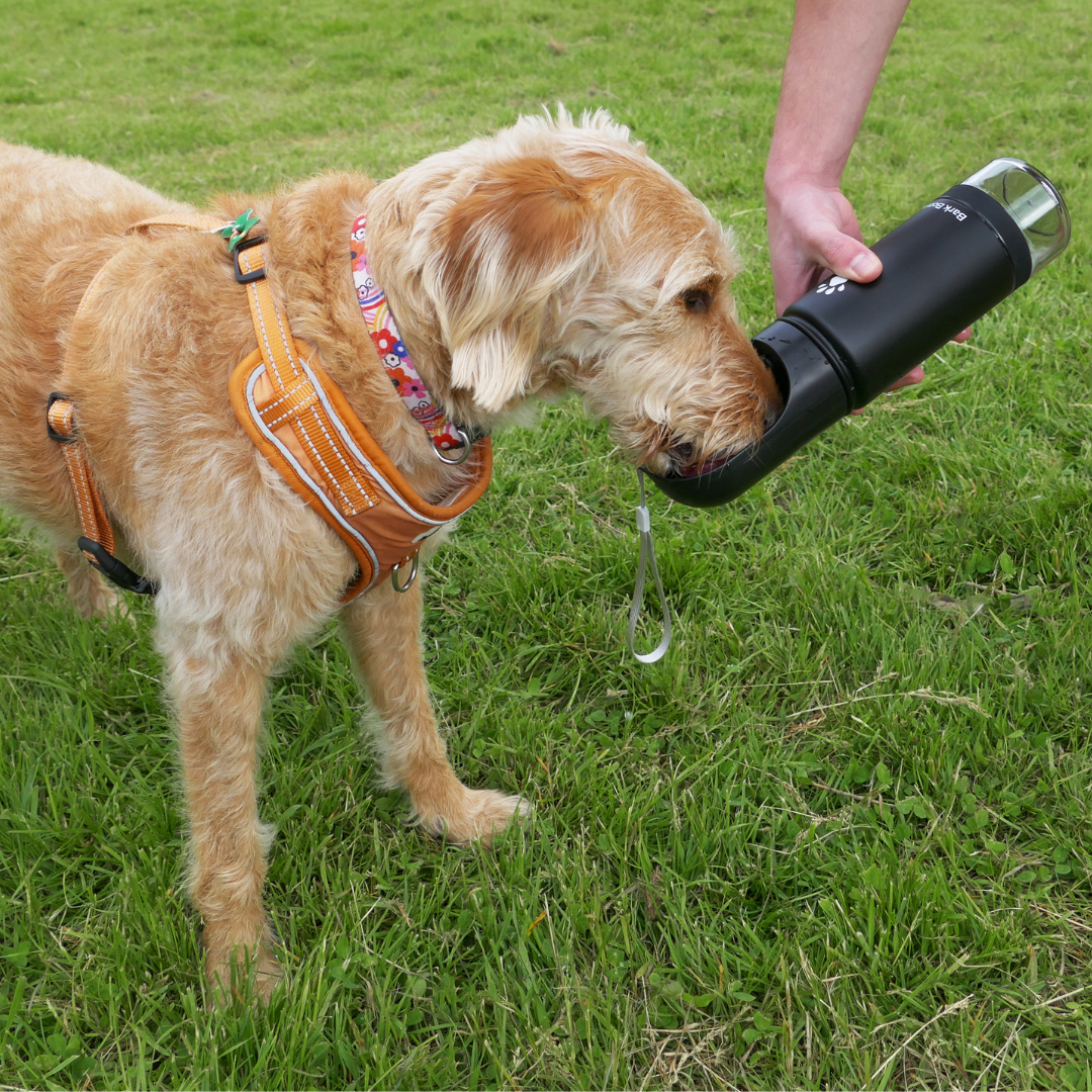 Bark Bottle™ | The Insulated, BPA-Free & Leak-Proof Dog Water Bottle