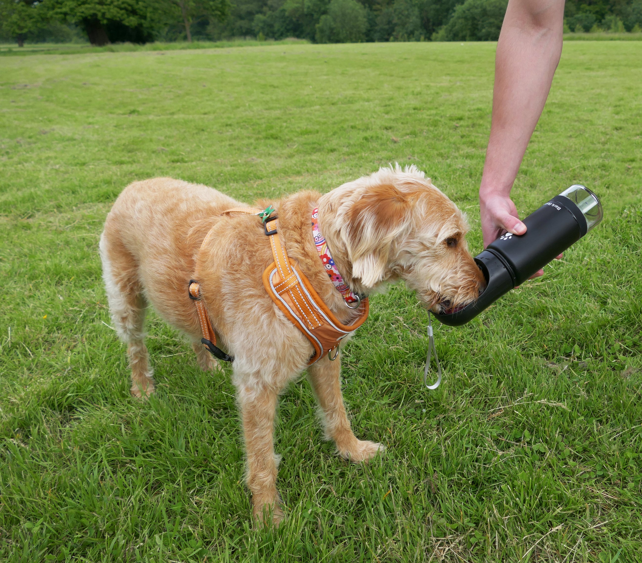 Bark Bottle™ | Insulated, BPA-Free & Leak-Proof Dog Water Bottles